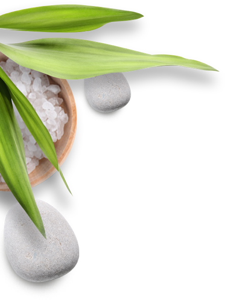 Terms and Conditions | Spa Botanica